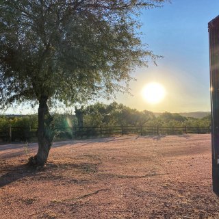 Eagle View RV Resort - Fort Mcdowell, Arizona - RV LIFE Campground Reviews